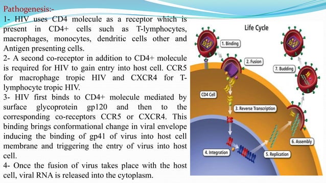 AIDS/HIV | PPT