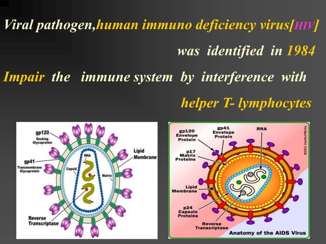 AIDS AND PERIODONTIUM.ppt | Blood Disorders | Diseases and Conditions