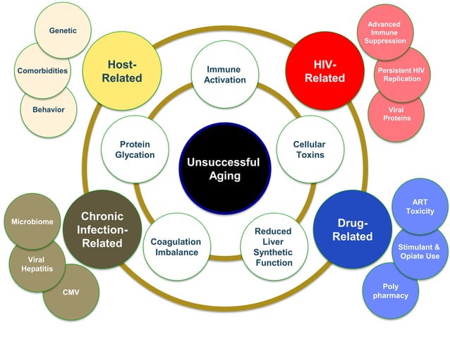 Overview of HIV & Aging | PDF | Endocrine and Metabolic Diseases ...