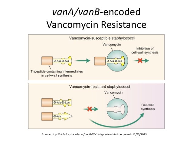 Blood Culture Nucleic Acid Testing: Identification and Resistance