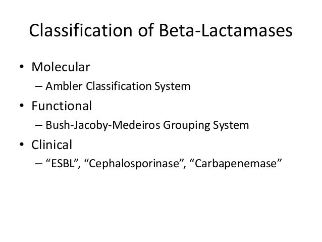 Blood Culture Nucleic Acid Testing: Identification and Resistance