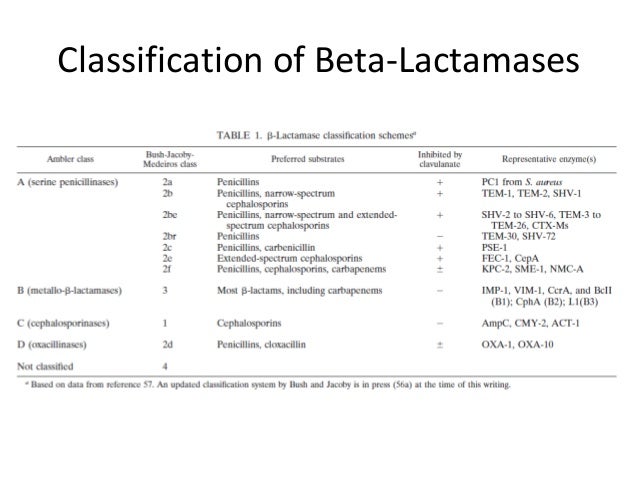 Blood Culture Nucleic Acid Testing: Identification and Resistance