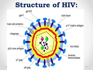 AIDS/HIV | PPTX
