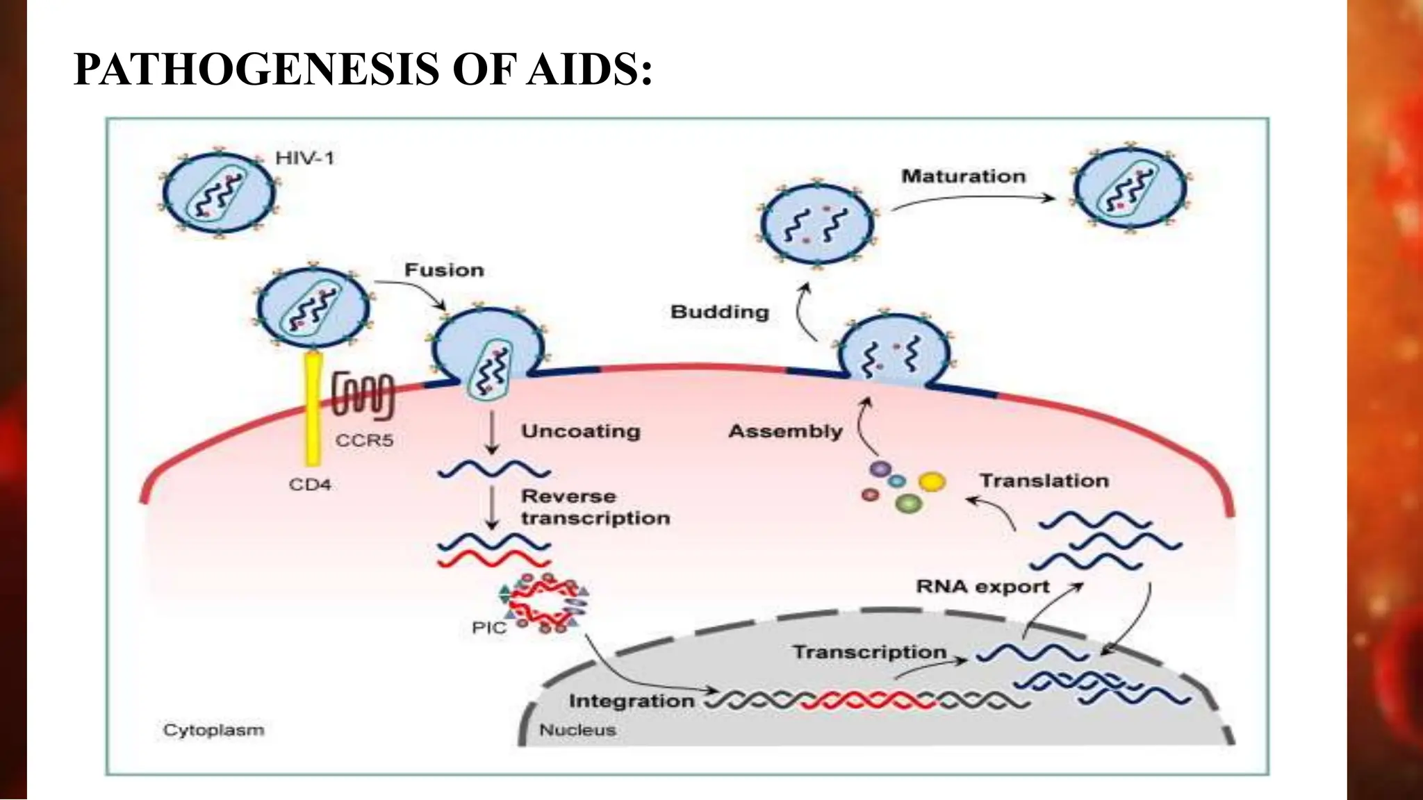 Etiology, pathophysiology, Pharmacotherapy of AIDS .pptx