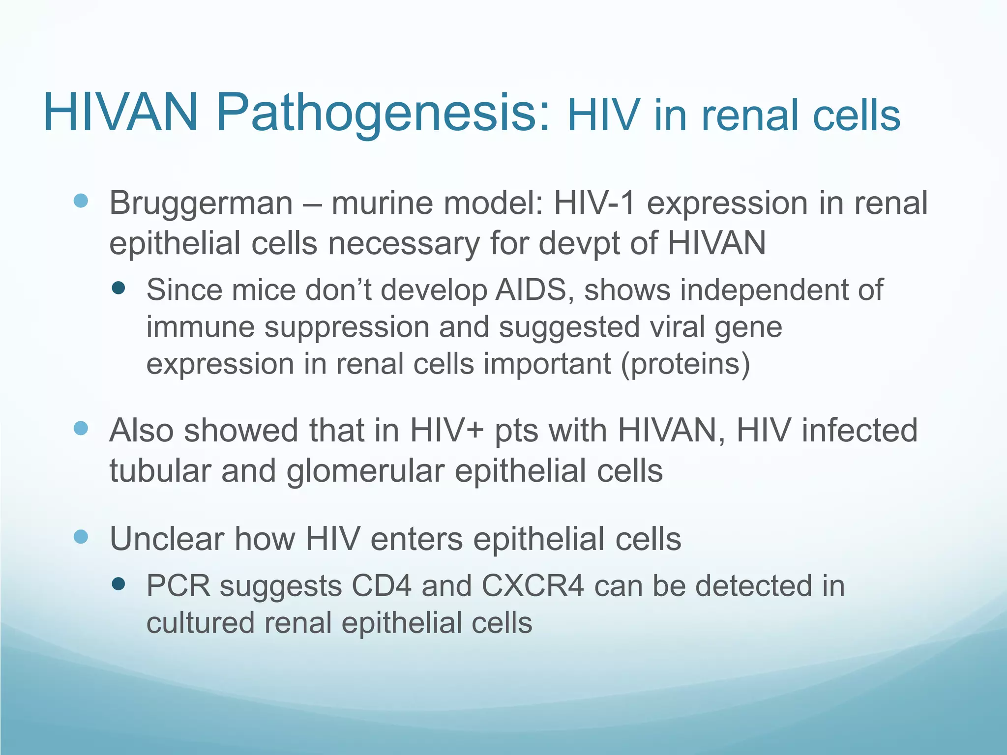 Renal Disease in HIV/AIDS | PDF