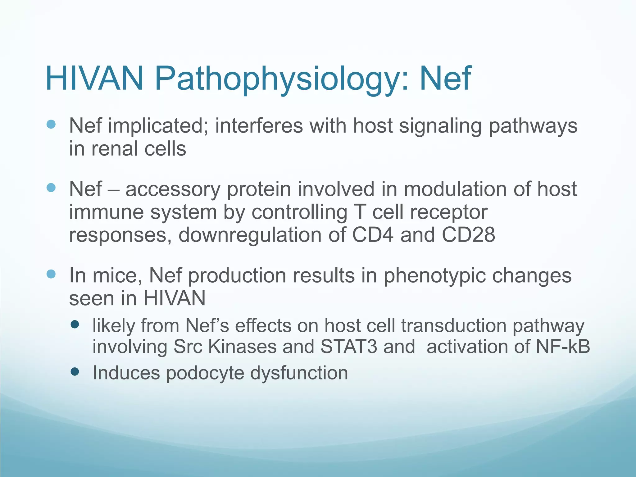 Renal Disease In Hivaids Ppt