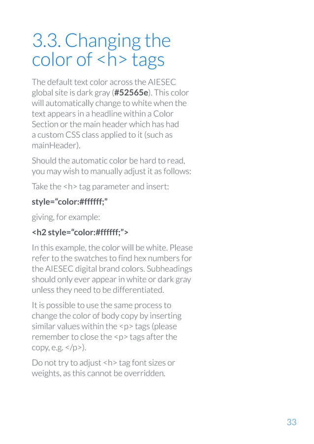 AIESEC Digital Guidelines.pdf