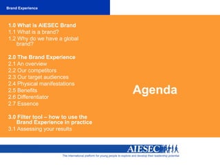 Aiesec brand elements (1) | PPT