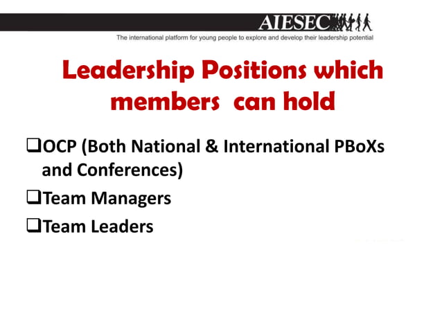 AIESEC structure | PPTX | Large Business | Business