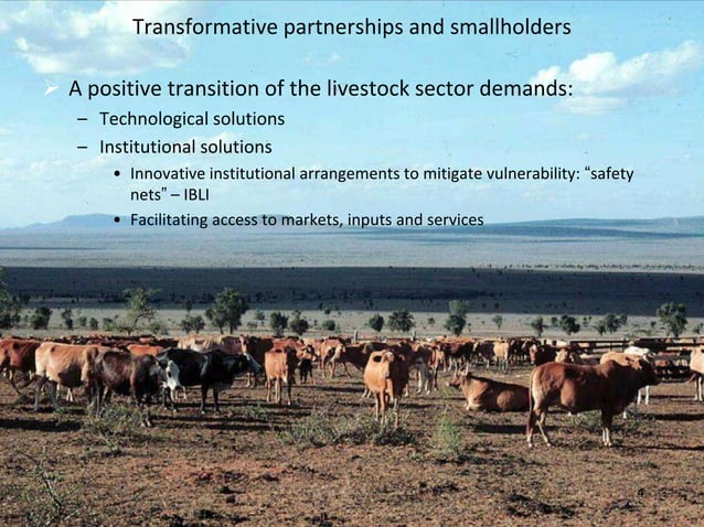 Sustainable and productive farming systems: The livestock sector | PPTX