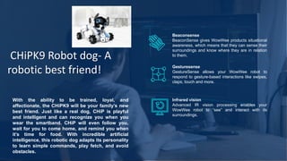 AI Gadgets by Asjad Islam.pptx