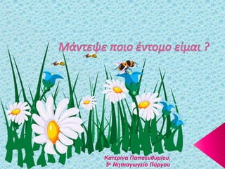 αινίγματα για έντομα | PPTX