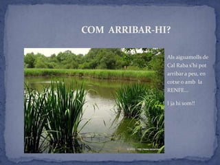 Aiguamolls de Cal Raba | PPTX