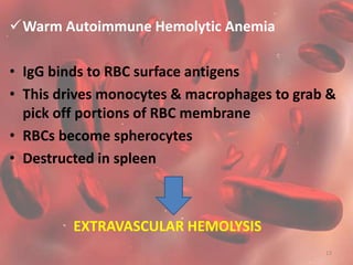 Autoimmune Hemolytic Anemia (AIHA) | PPTX
