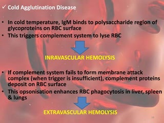 Autoimmune Hemolytic Anemia (AIHA) | PPTX
