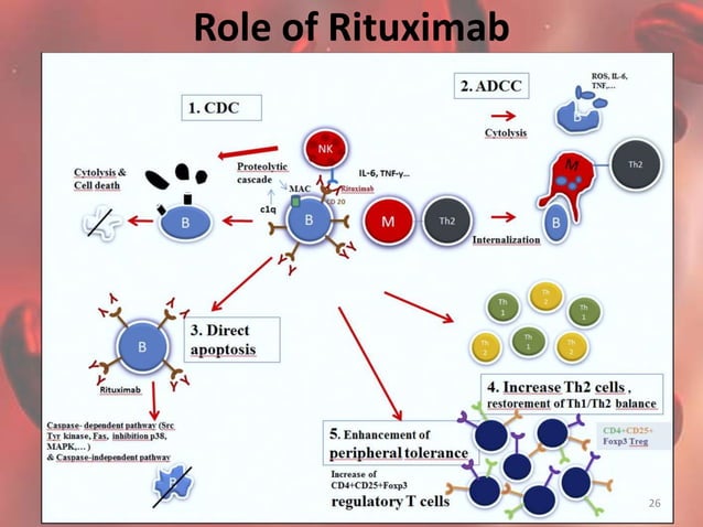 Autoimmune Hemolytic Anemia (AIHA) | PPTX