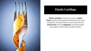 AI Histology Of Cartilage_compressed.pdf