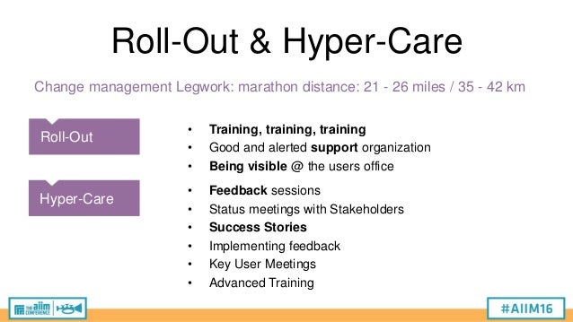 Successful Change Management for Global IT Projects