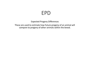 AI in beef cattle | PPT