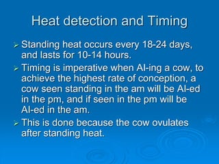 AI in BeefCattle.ppt
