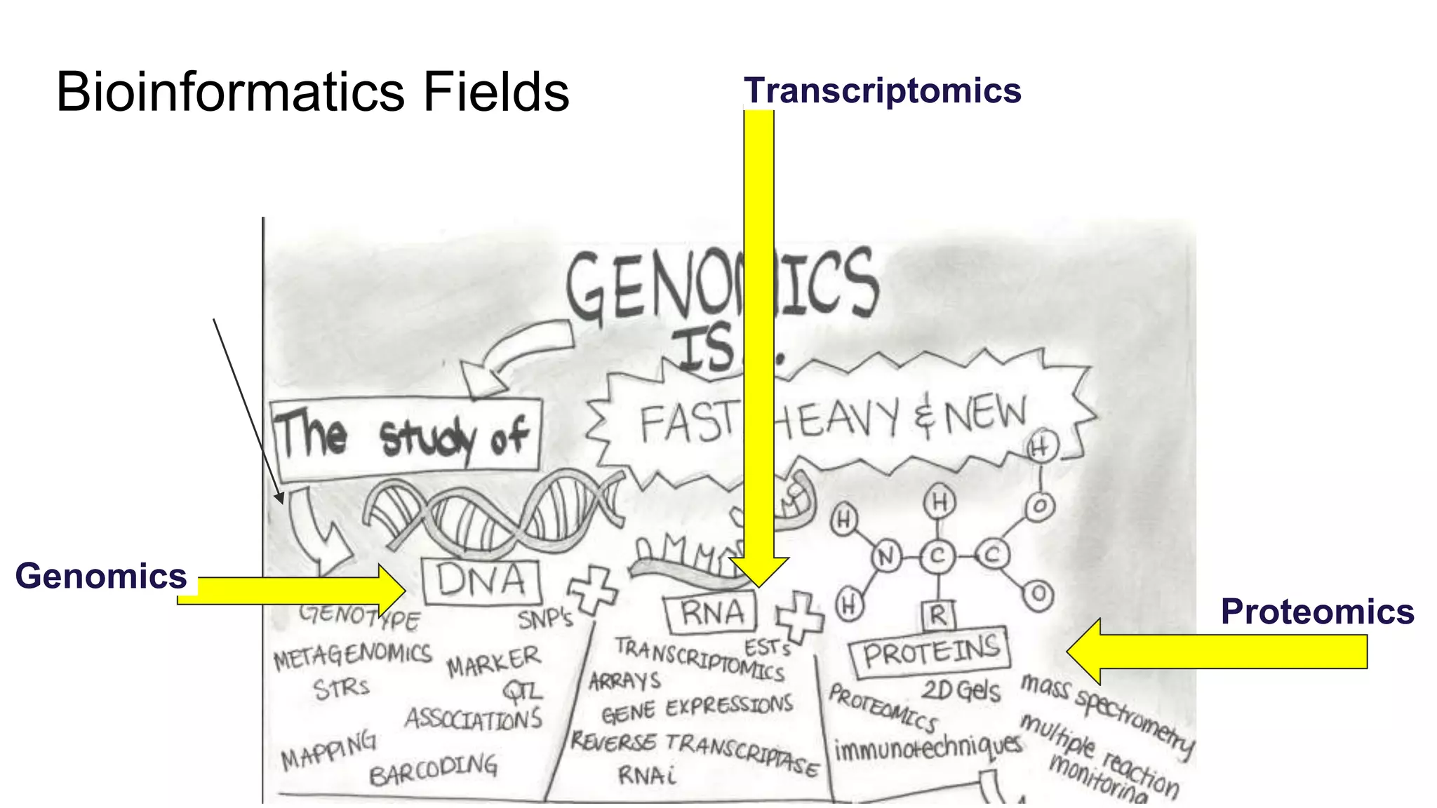 AI in Bioinformatics | PPTX