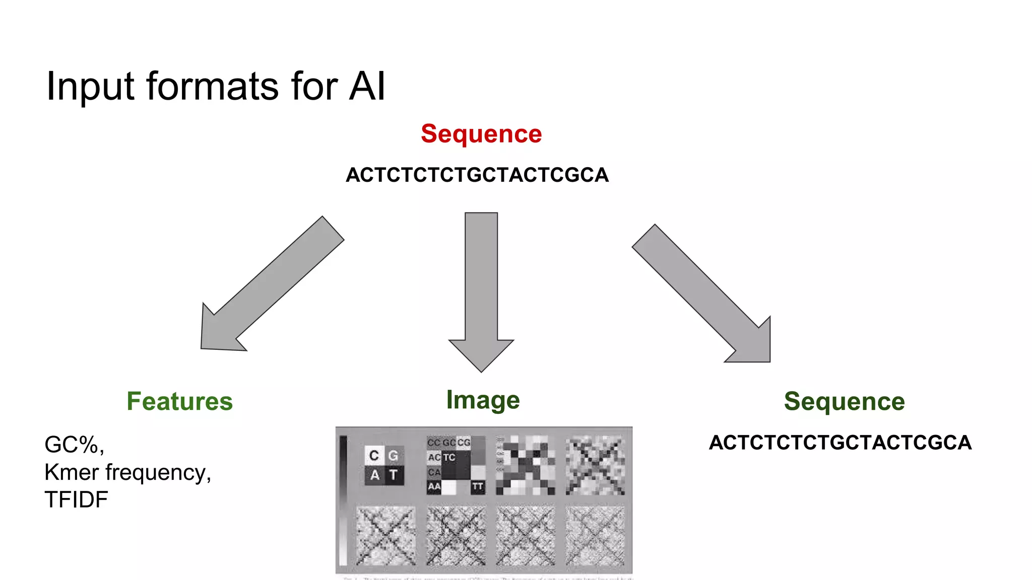 AI in Bioinformatics | PPTX