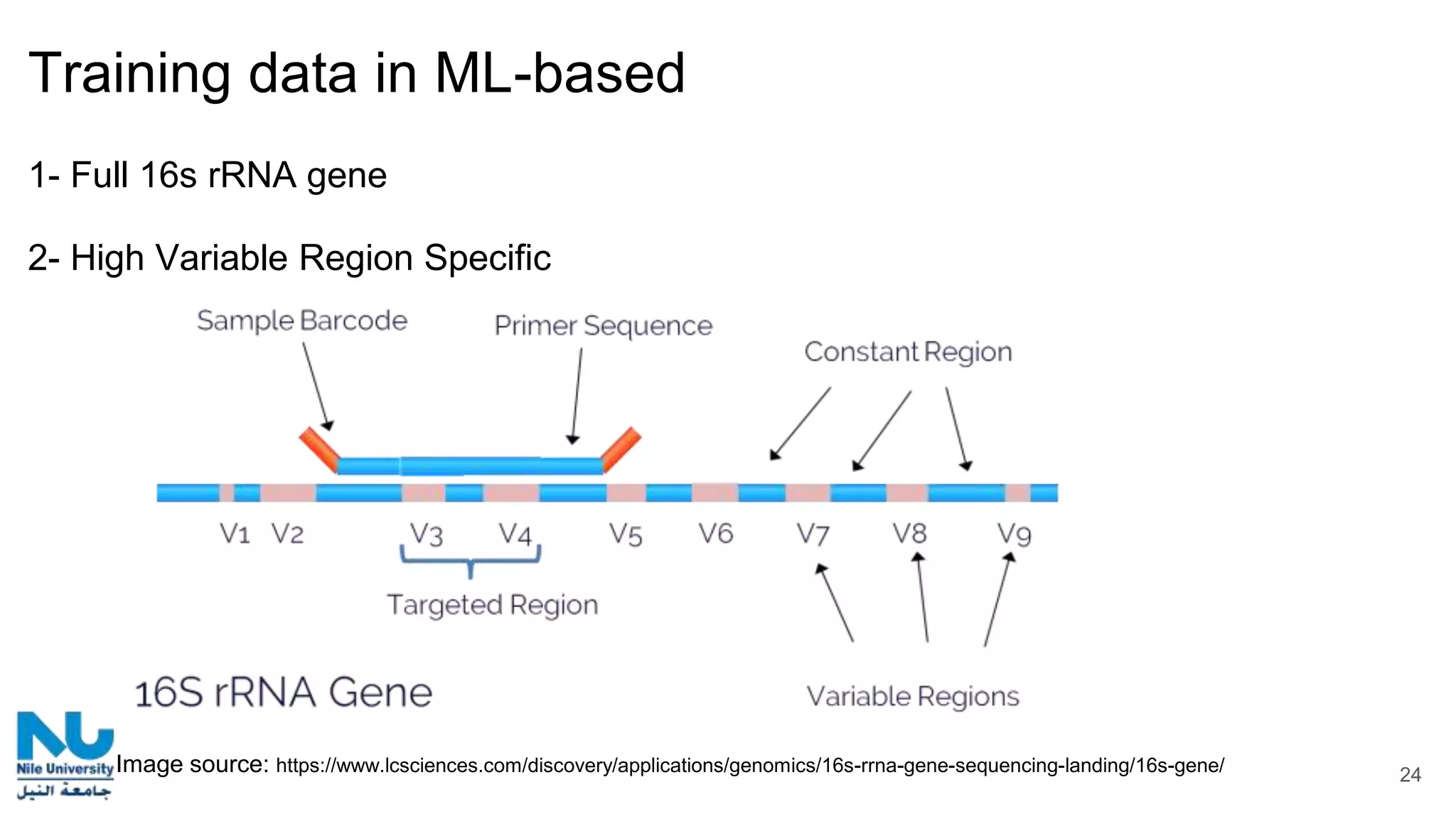 AI in Bioinformatics | PPTX