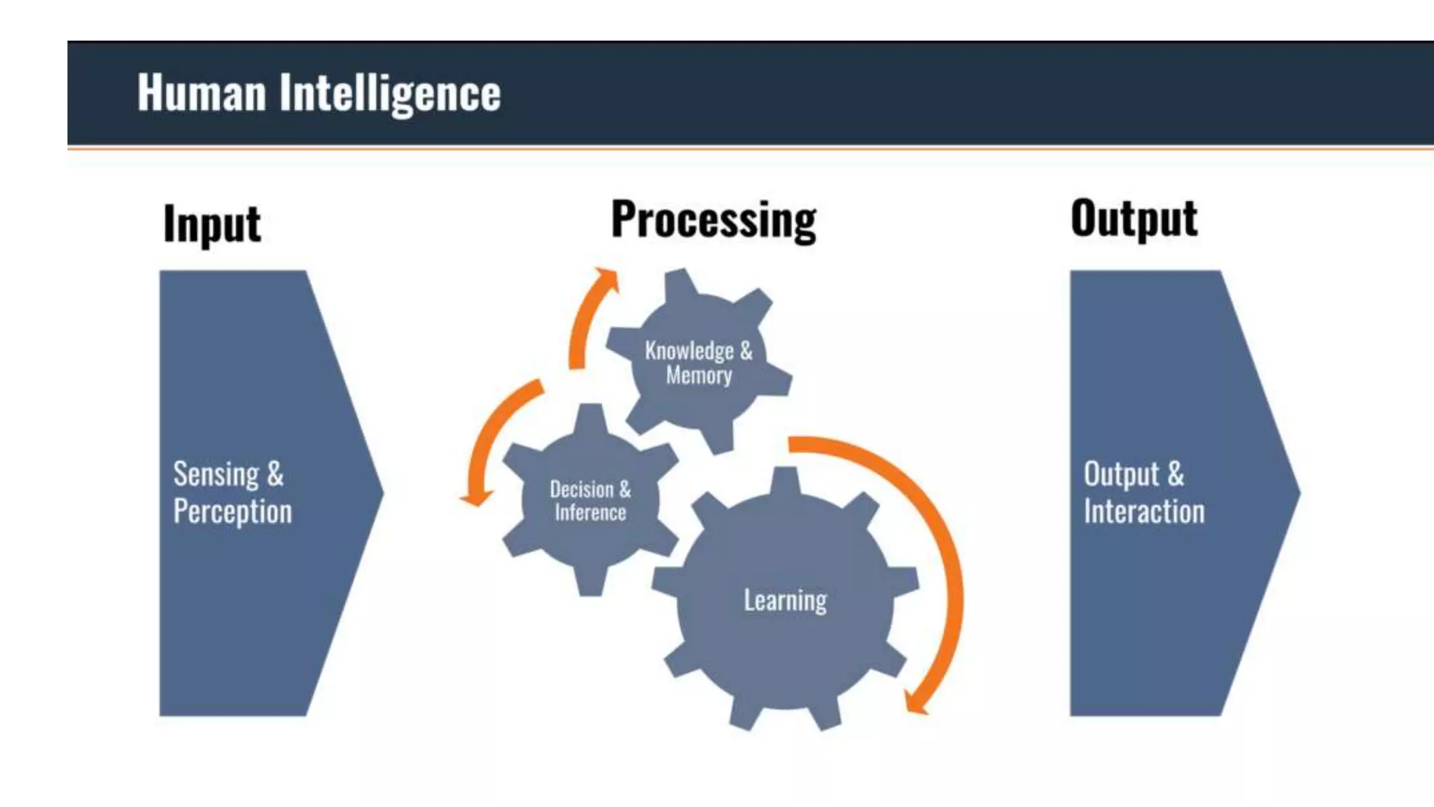 AI in Bioinformatics | PPTX