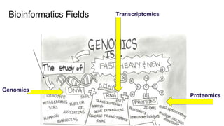 AI in Bioinformatics | PPTX