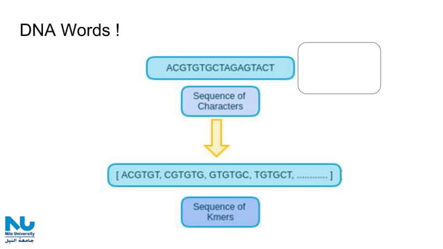 AI in Bioinformatics | PPTX
