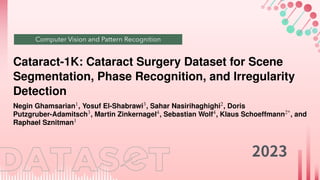 人工智慧於眼科白內障手術的應用 (AI in Cataract Surgery) | PDF