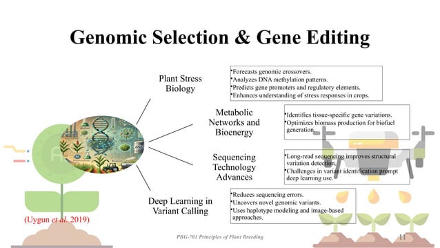 Artificial Intelligence in Plant Breeding | PPTX