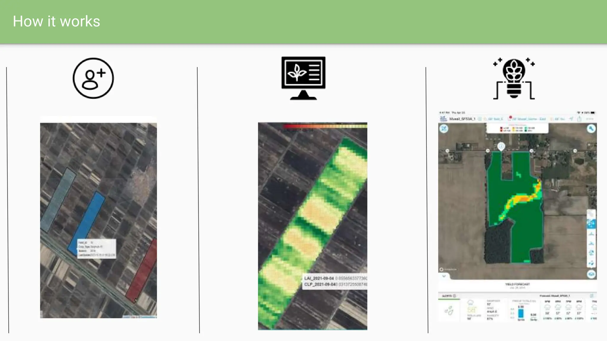 AI & Remote Sensing Data for Crop Monitoring | PPTX