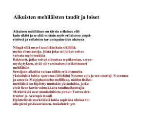 Aikuisten mehiläisten taudit ja loiset. Lassi Kauko | PPT