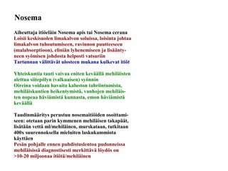 Aikuisten mehiläisten taudit ja loiset. Lassi Kauko | PPT