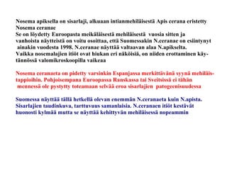 Aikuisten mehiläisten taudit ja loiset. Lassi Kauko | PPT