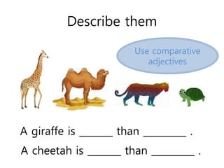 Aileen zoo tour | PPT