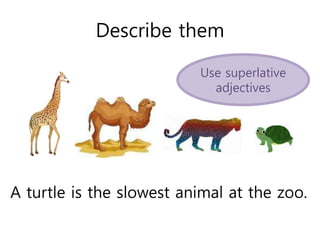 Aileen zoo tour | PPT