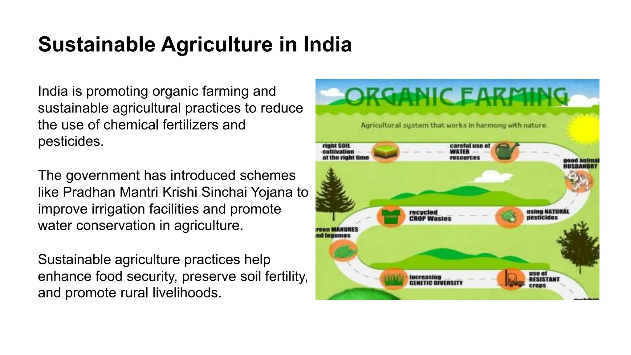 Sustainable Development in India .pptx