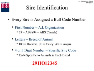 Ai manual chapter 09 | PPT