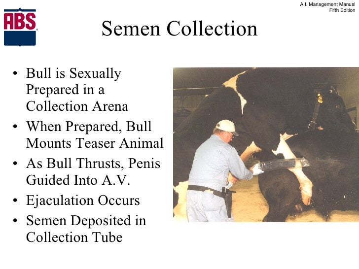 Ai manual chapter 09