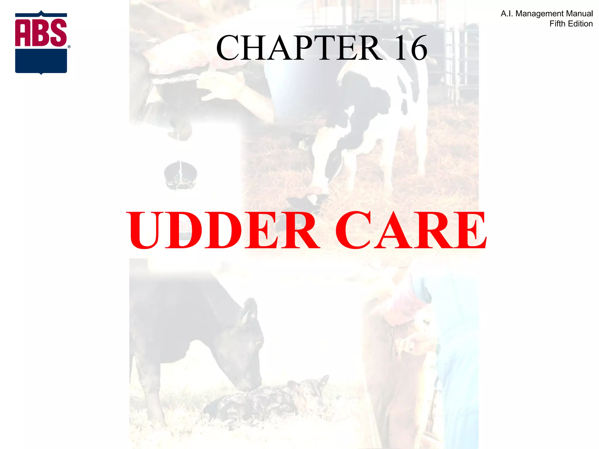 Ai manual chapter 16 | PPT