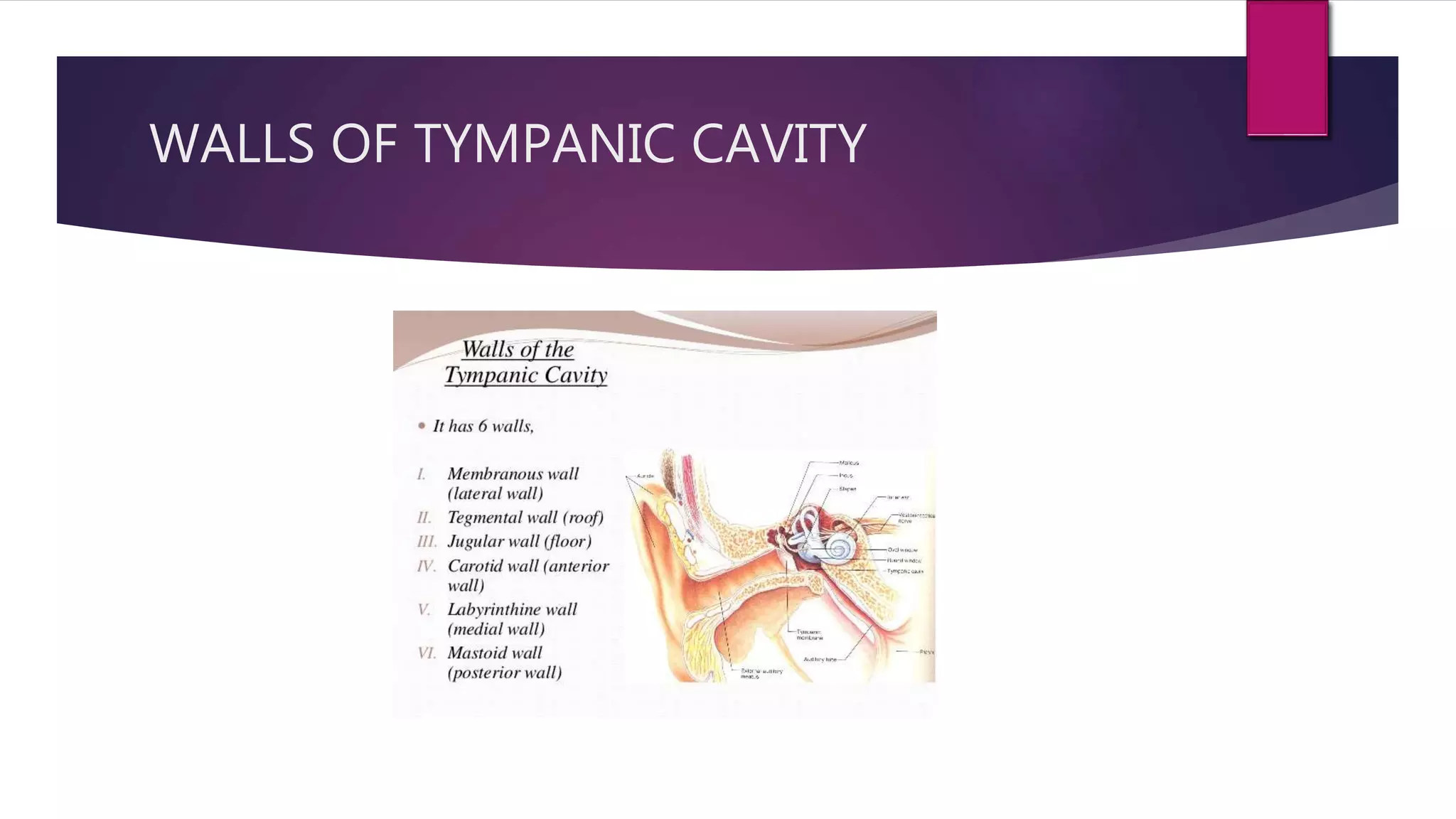 roof and floor of ear | PPTX