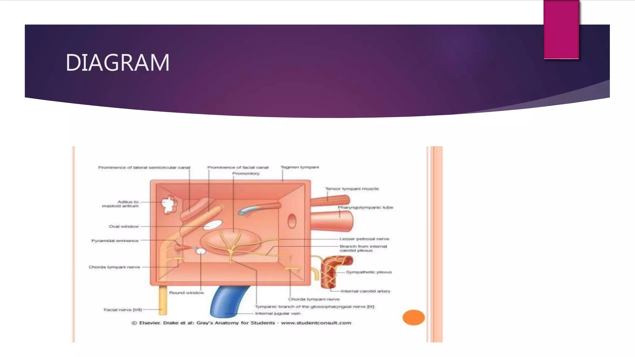 roof and floor of ear | PPTX