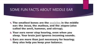 roof and floor of ear | PPT
