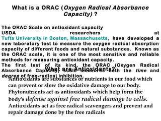 Business Opportunity | PPT