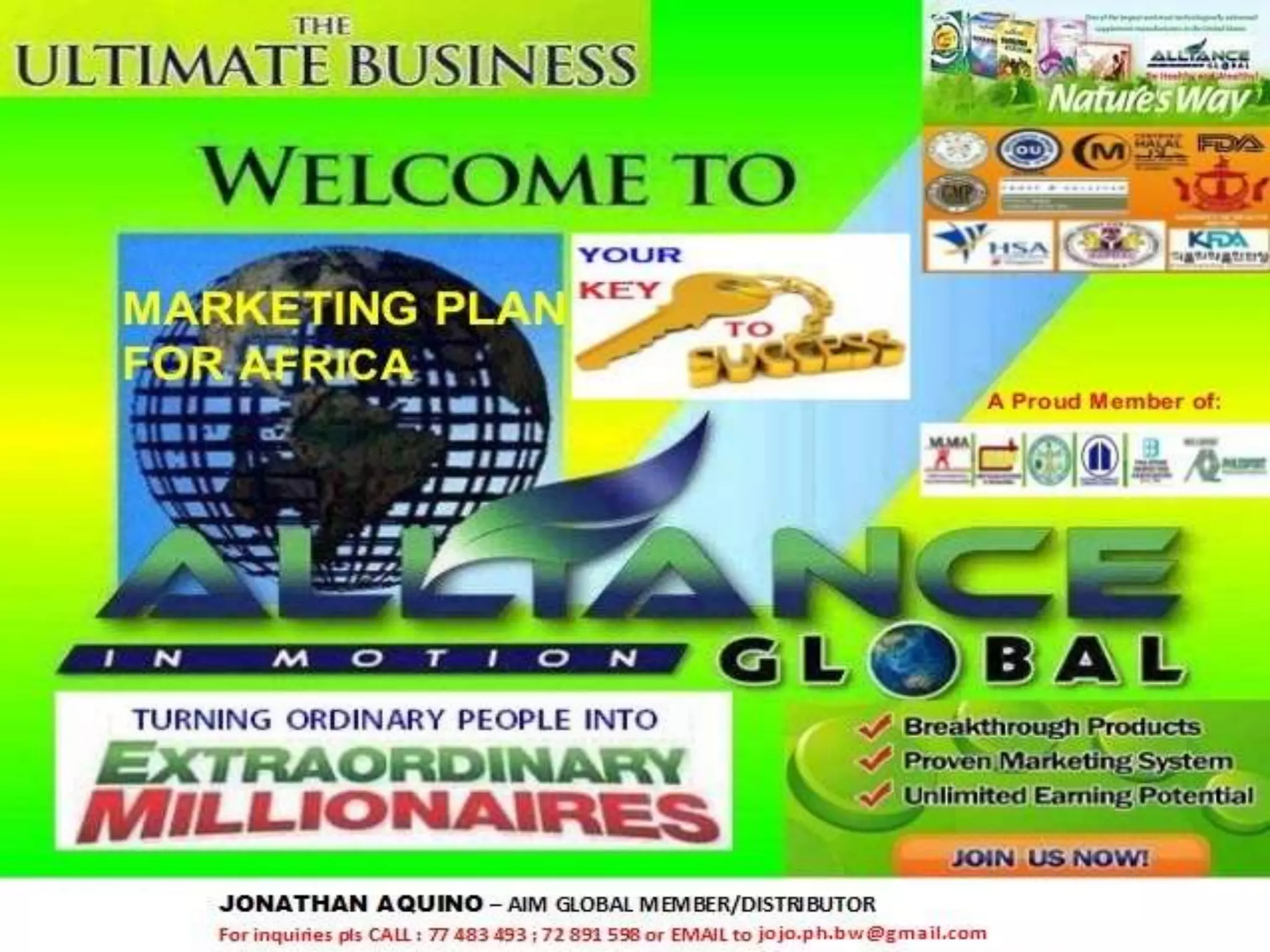 Aim Global International Marketing Plan | PPTX