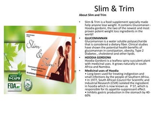 Aim global presentation | PPT