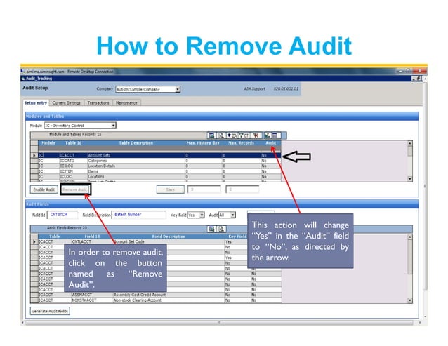 Audit Module | PPT
