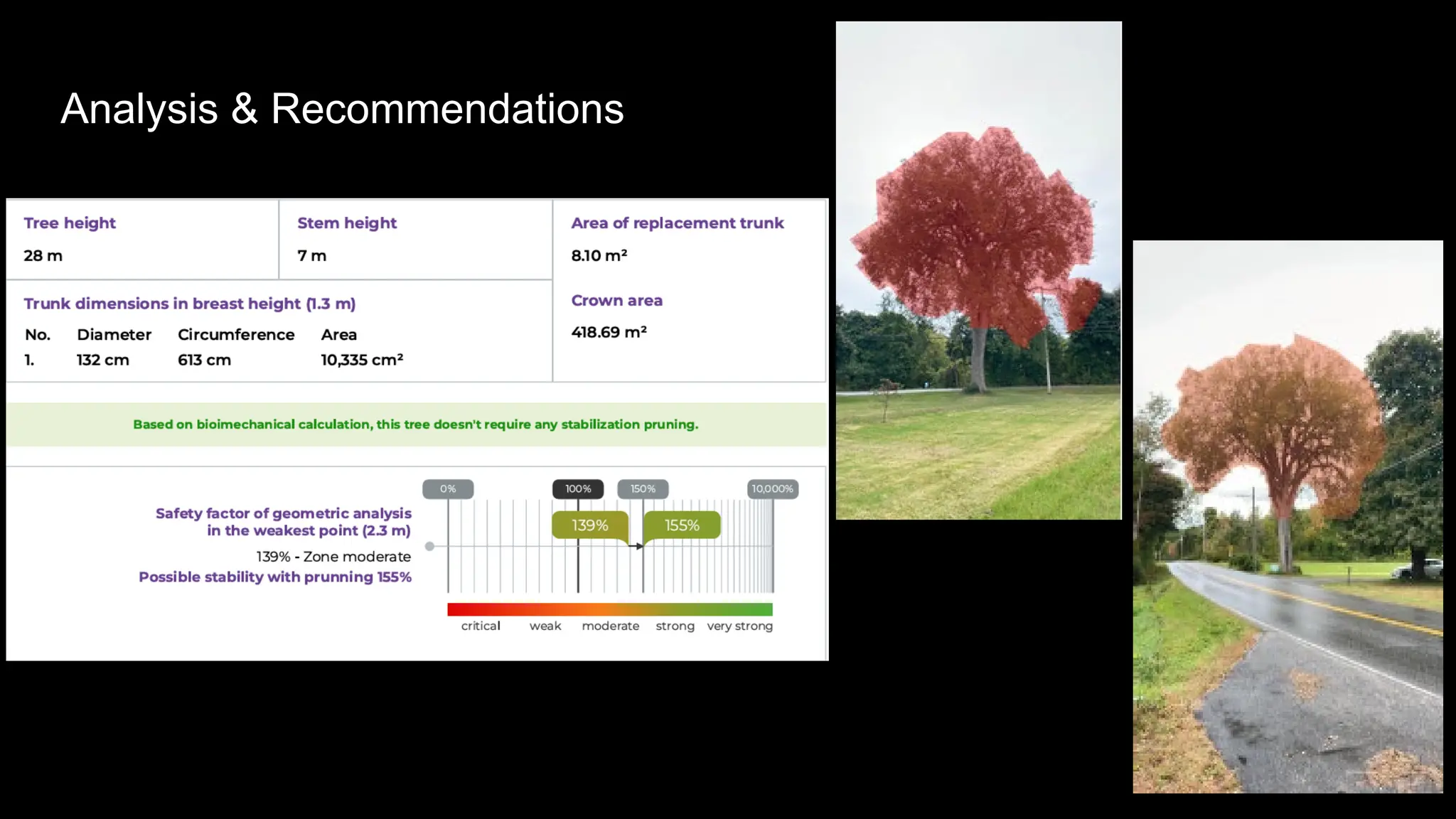 AI & ML in Urban Forestry New England ISA | PPT